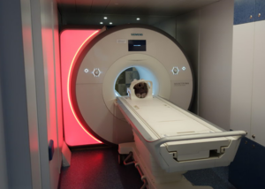 MOBILE MRI TRAILERS | HEALTHCARE IMAGING | IMAGING TRAILERS